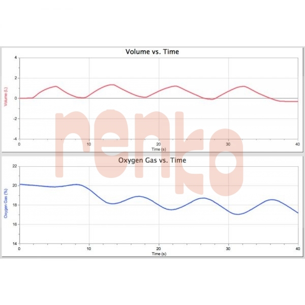 O2 Gas Sensor (O2-BTA) - Rentech